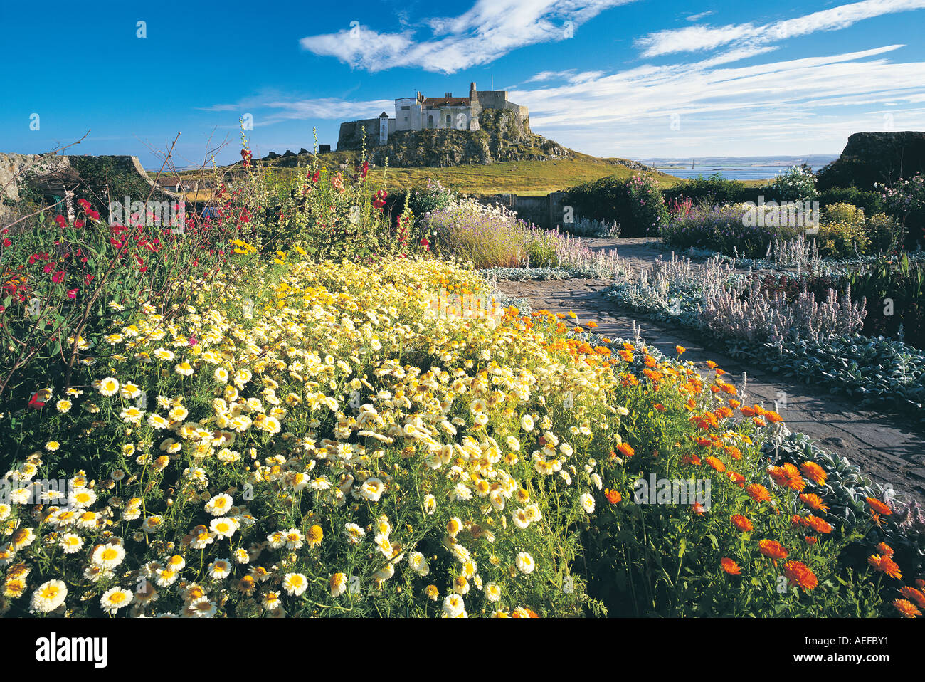 Lindisfarne Castle and walled garden, Lindisfarne, Northumberland in ...