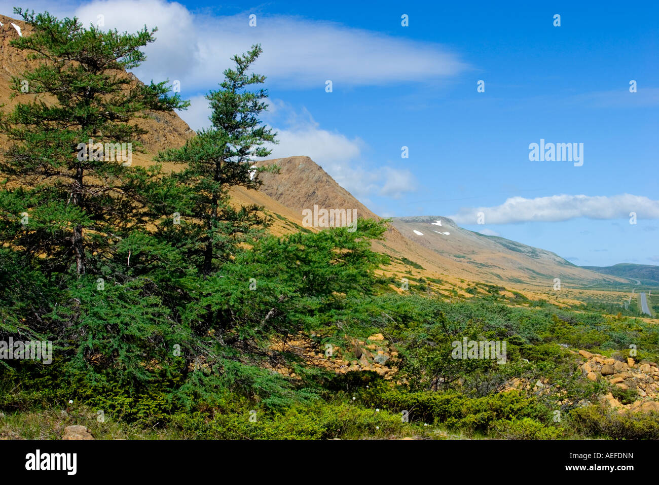 Tablelands Gros Morne National Park Newfoundland Canada Stock Photo - Alamy