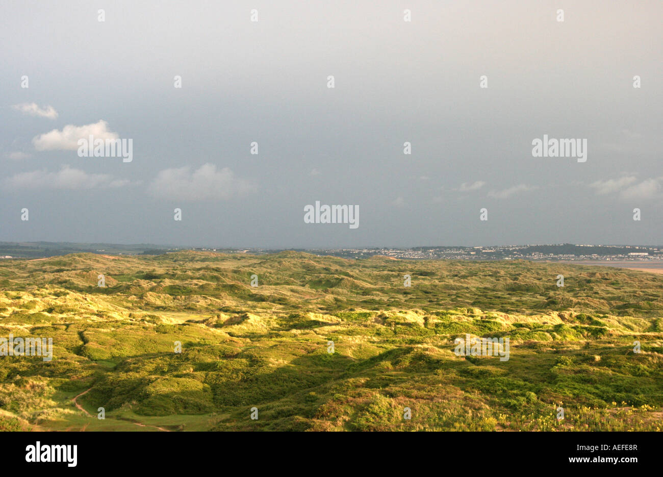 Braunton Burrows sand dunes, North Devon Stock Photo - Alamy