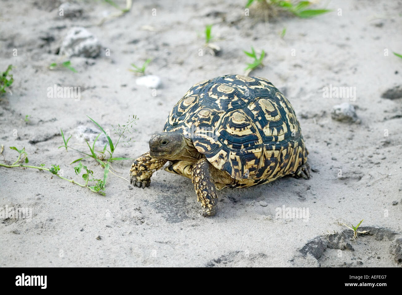 Going places hi-res stock photography and images - Alamy