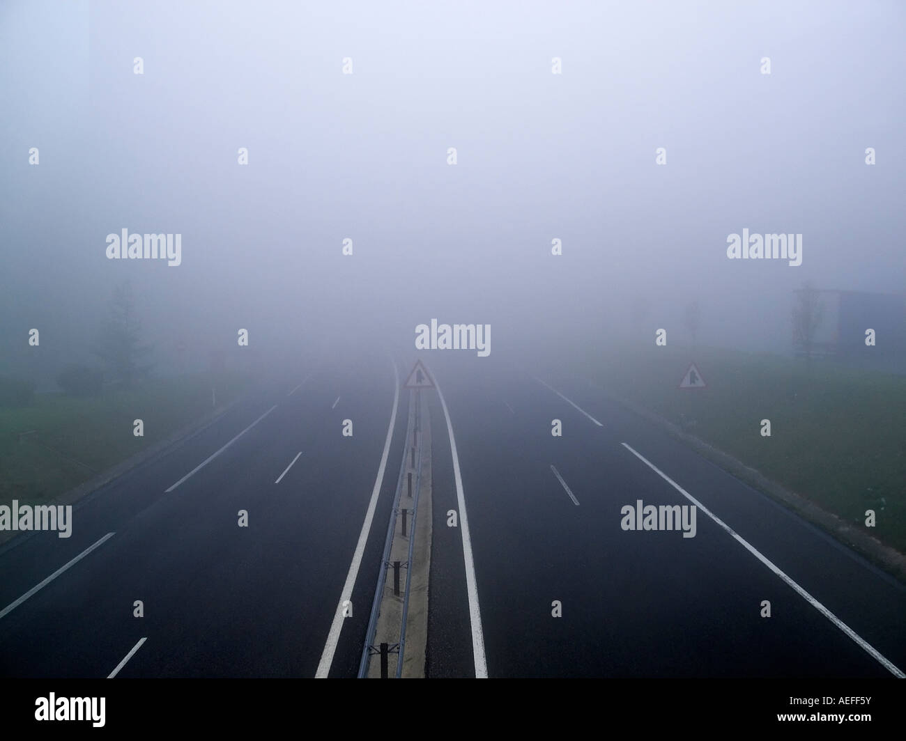 road in frog Stock Photo - Alamy