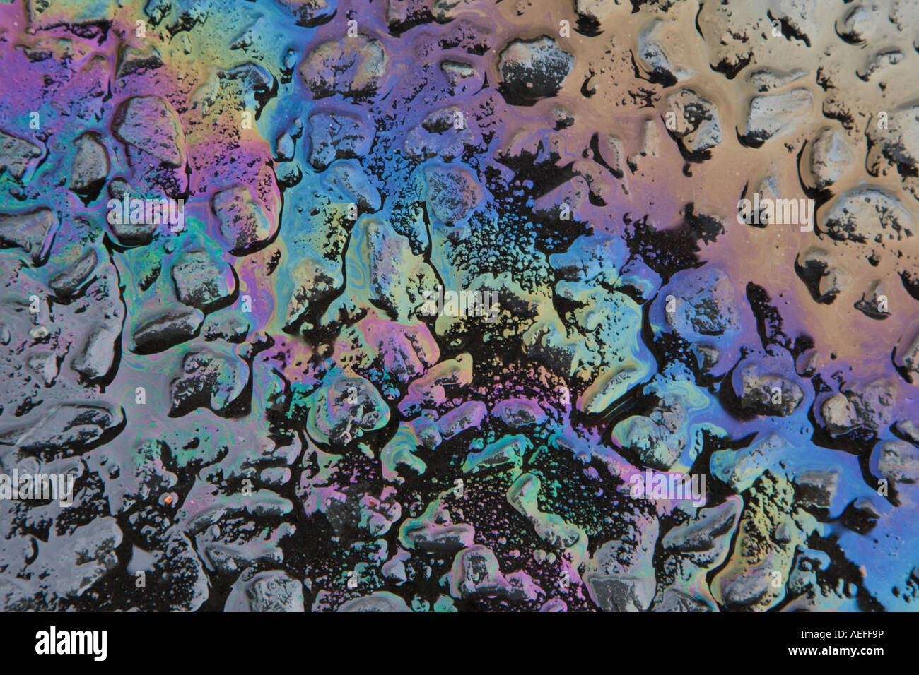 Oil slick pattern on surface of tarmac road Stock Photo: 13668705 - Alamy
