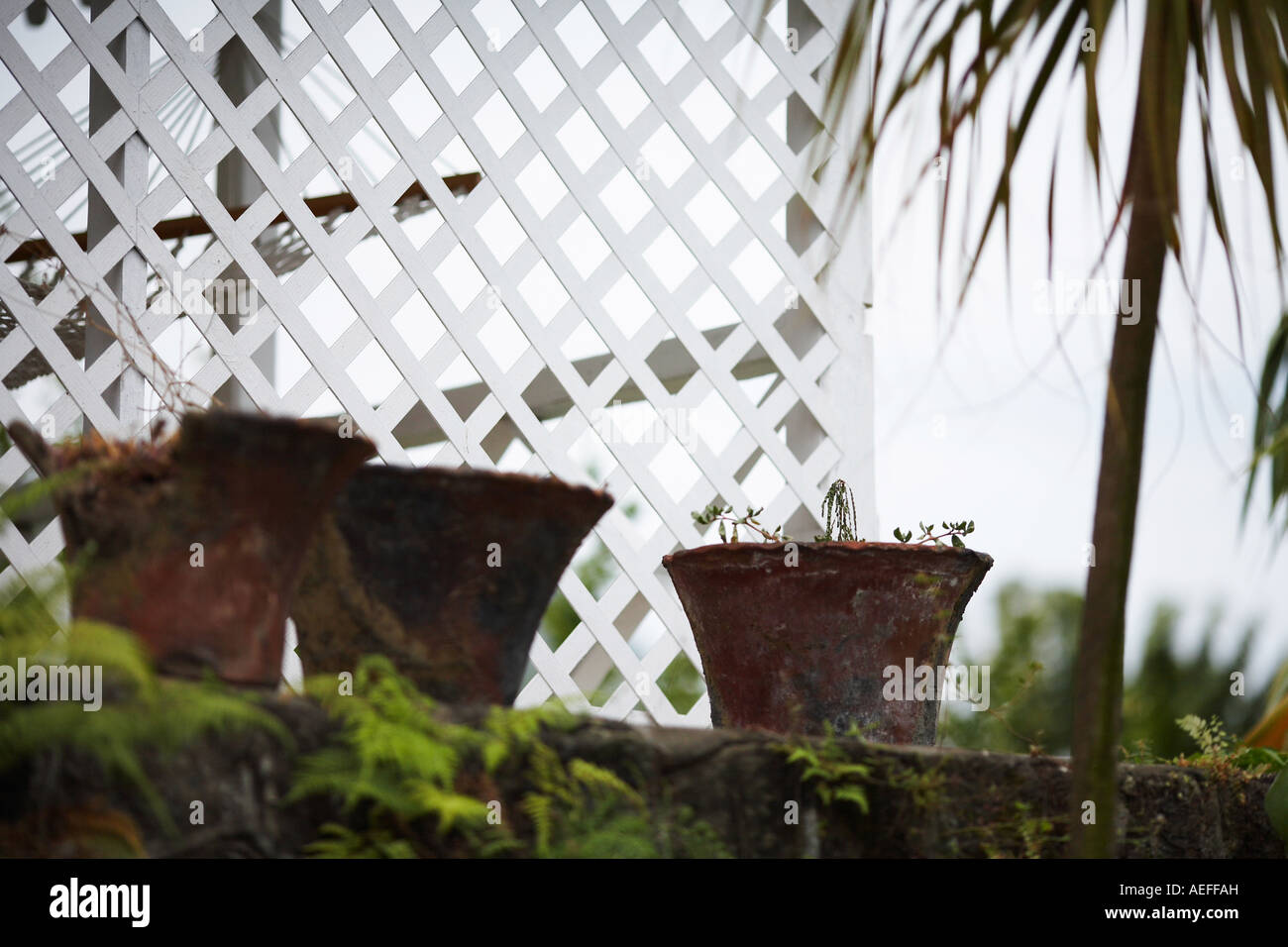 Small Weathered Potted Plants on Stone Wall at the Montpelier ...