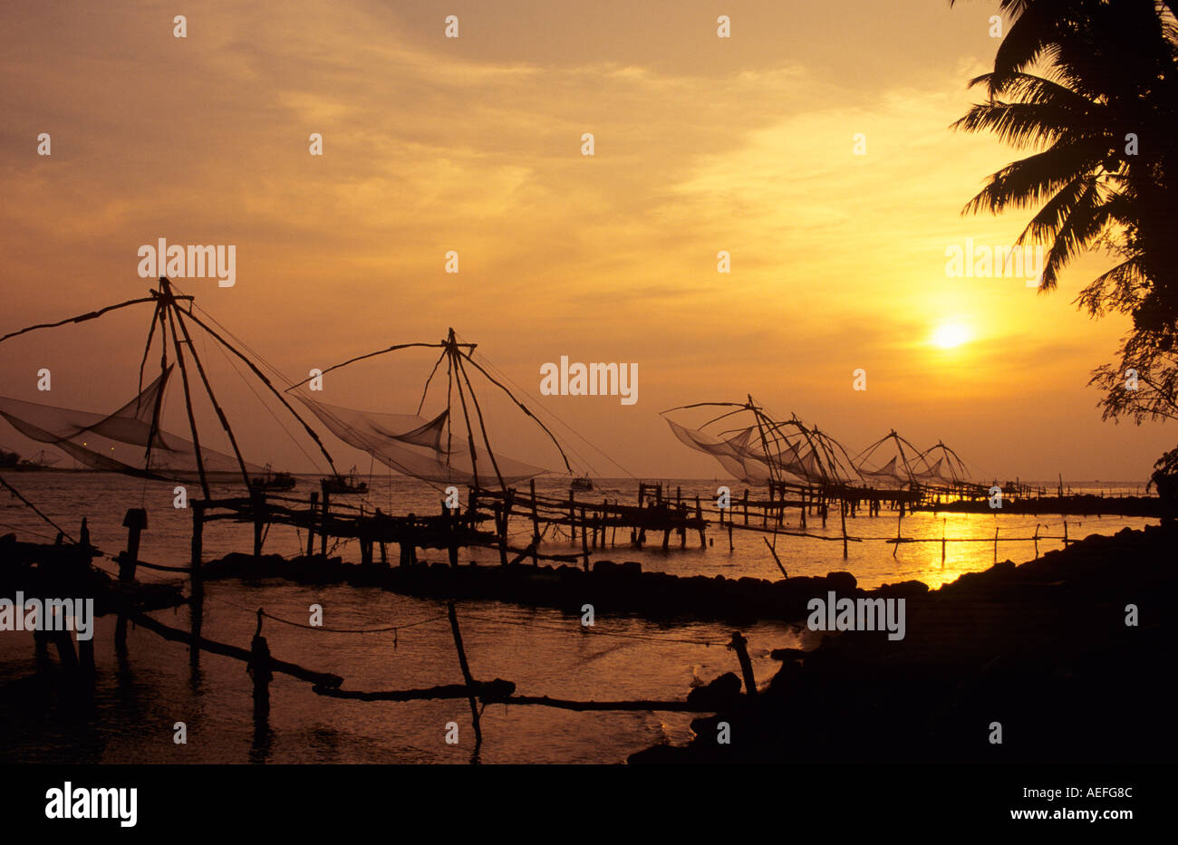 Chinese fishing nets at twilight Cochin Kerala India Stock Photo - Alamy