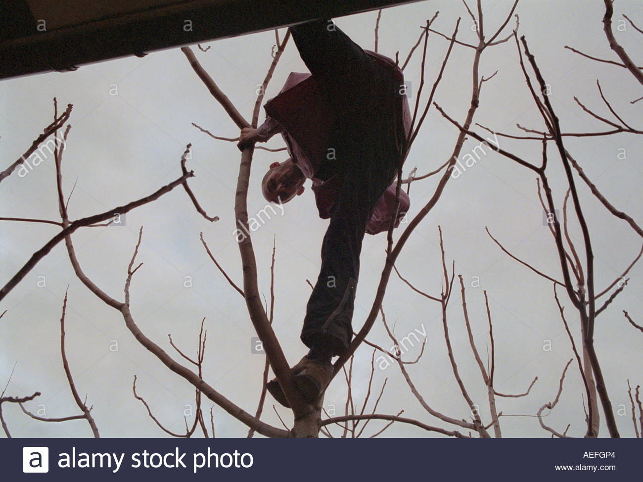 Man Climbing Out Of Window Stock Photos & Man Climbing Out Of Window ...