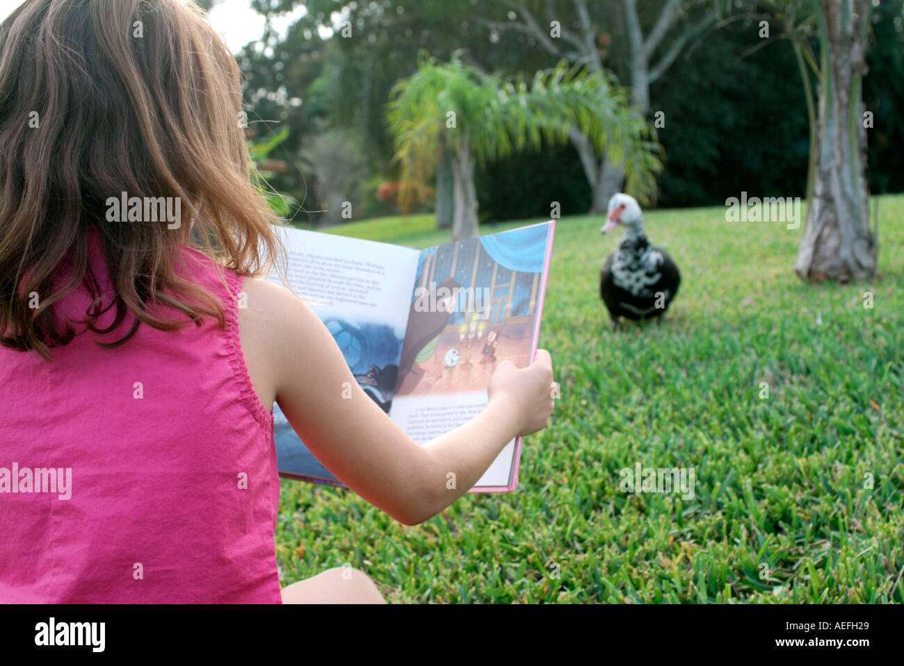Little girl reading storybook to duck Stock Photo - Alamy