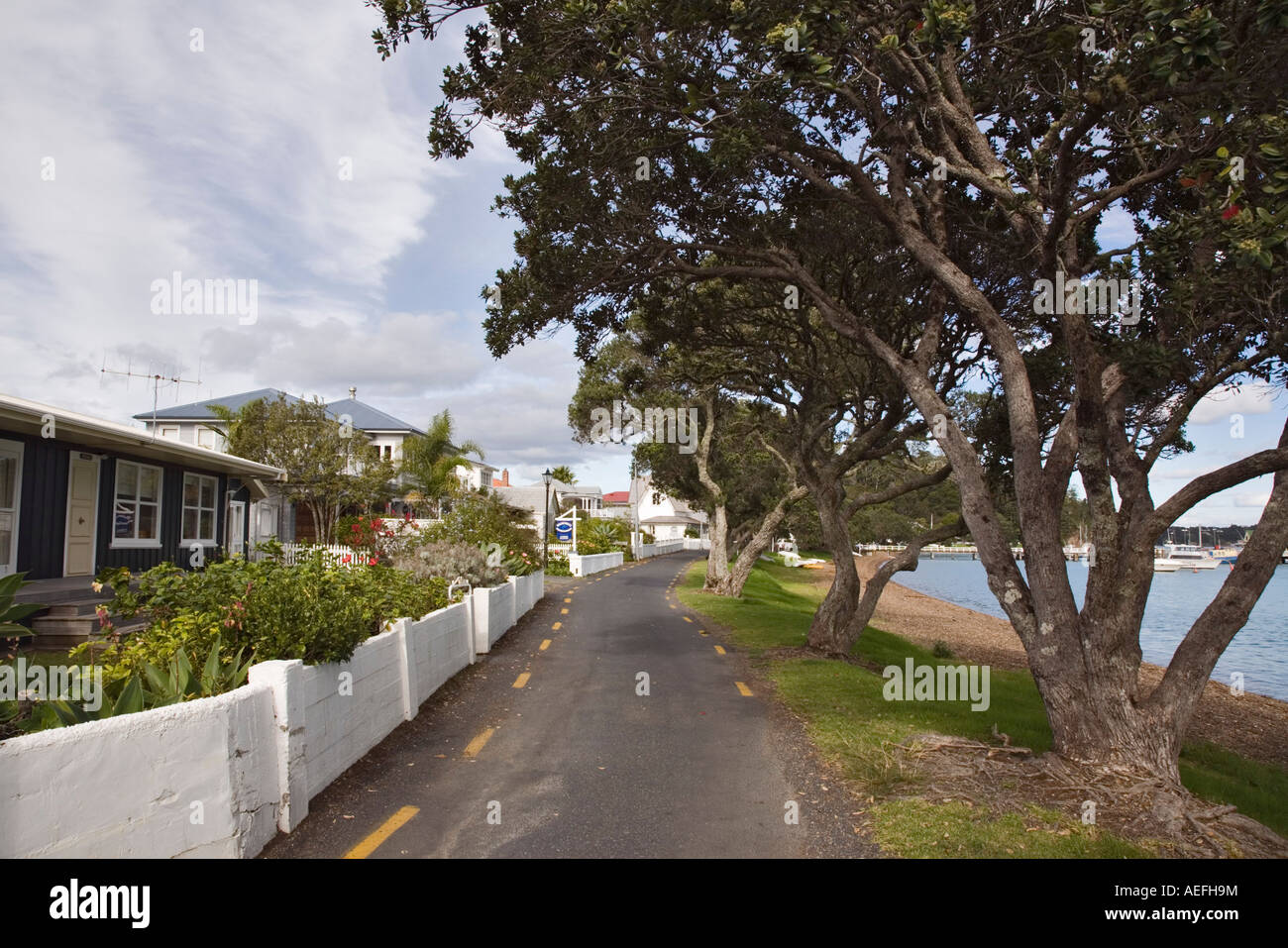 The Strand waterfront road lined with Pohutukawa trees on beach in ...