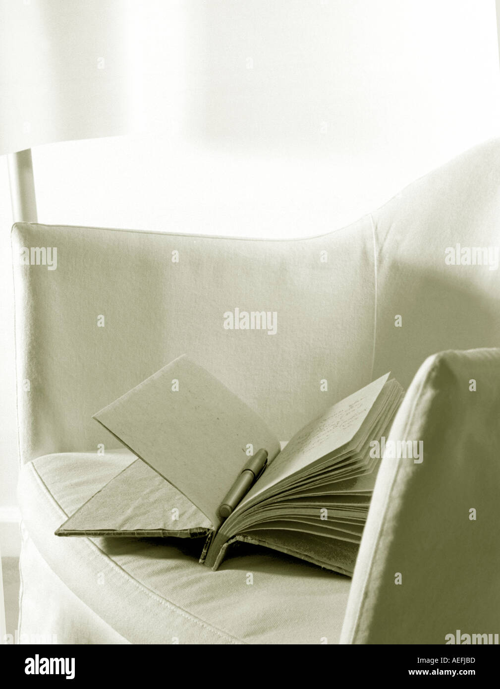 Writing inside open book Stock Photo - Alamy