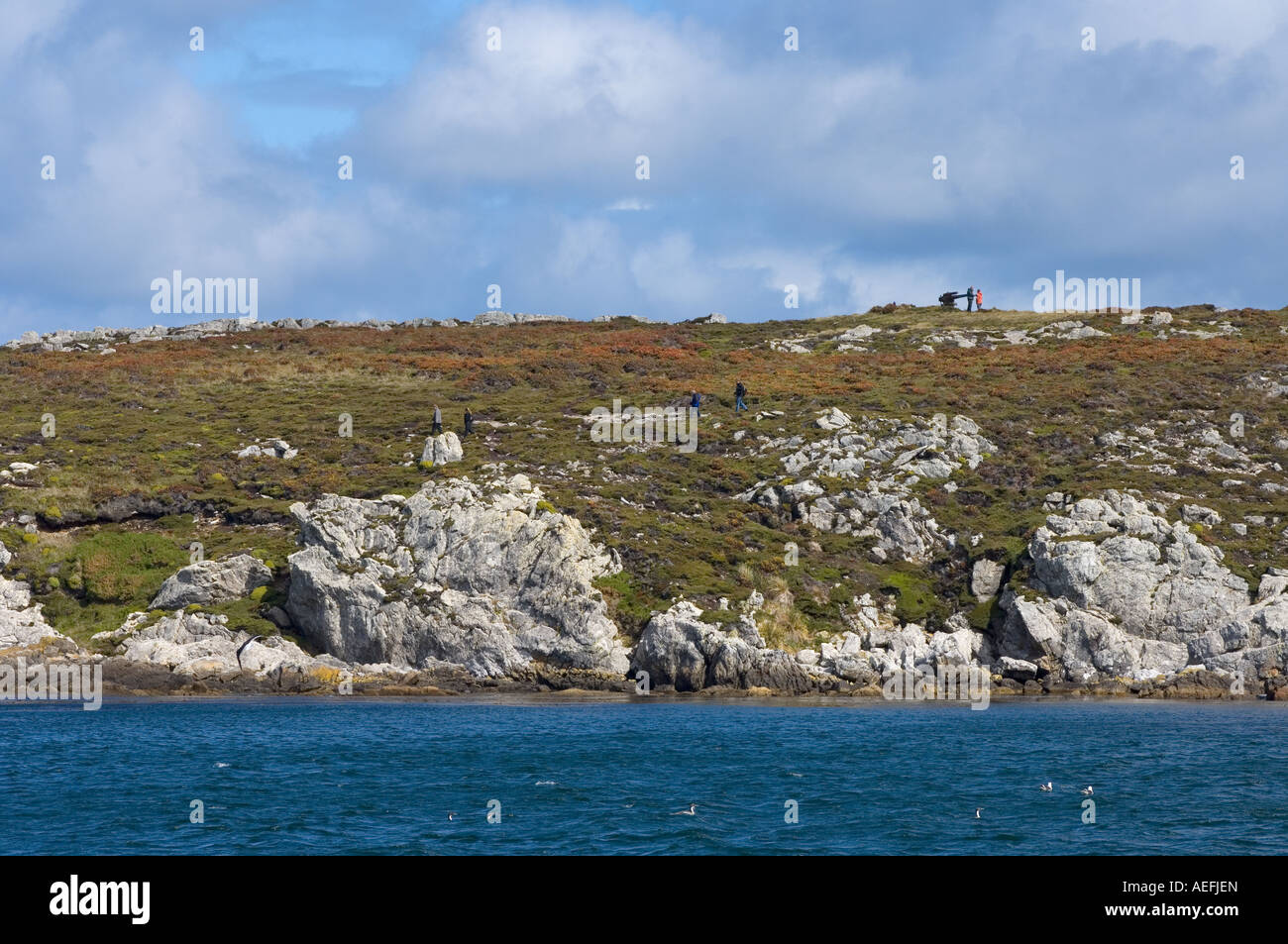 Stanley island Falkland Islands South Atlantic Ocean Stock Photo - Alamy
