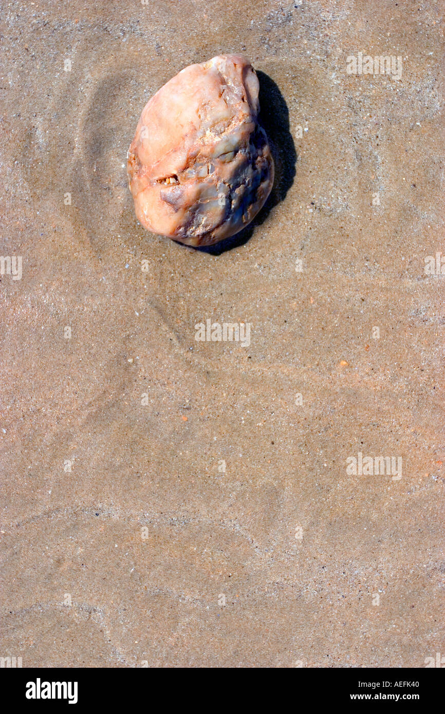 rock on the sand Stock Photo - Alamy