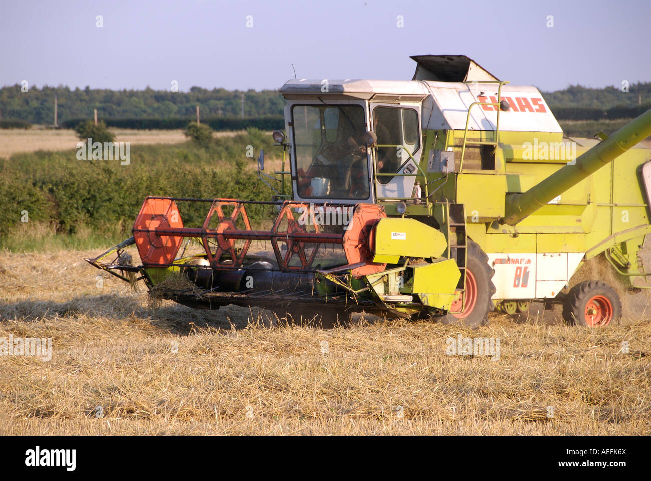 A working farmer making hay while the sun shines and reaping the ...