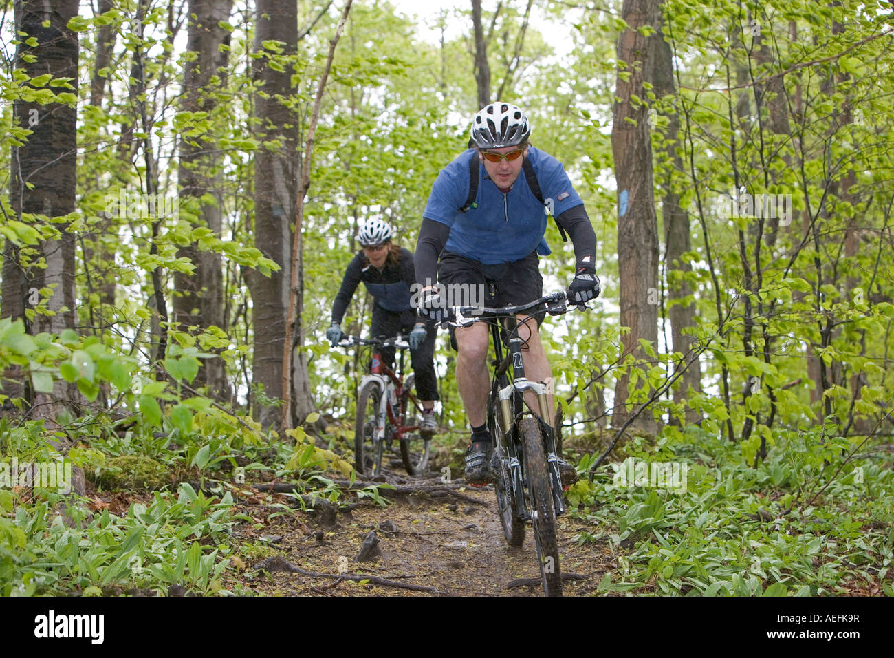 North America Canada Ontario "Niagara Escarpment" near Collingwood ...