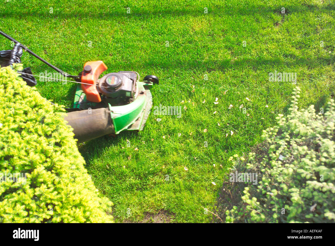 Mowing lawn Stock Photo - Alamy