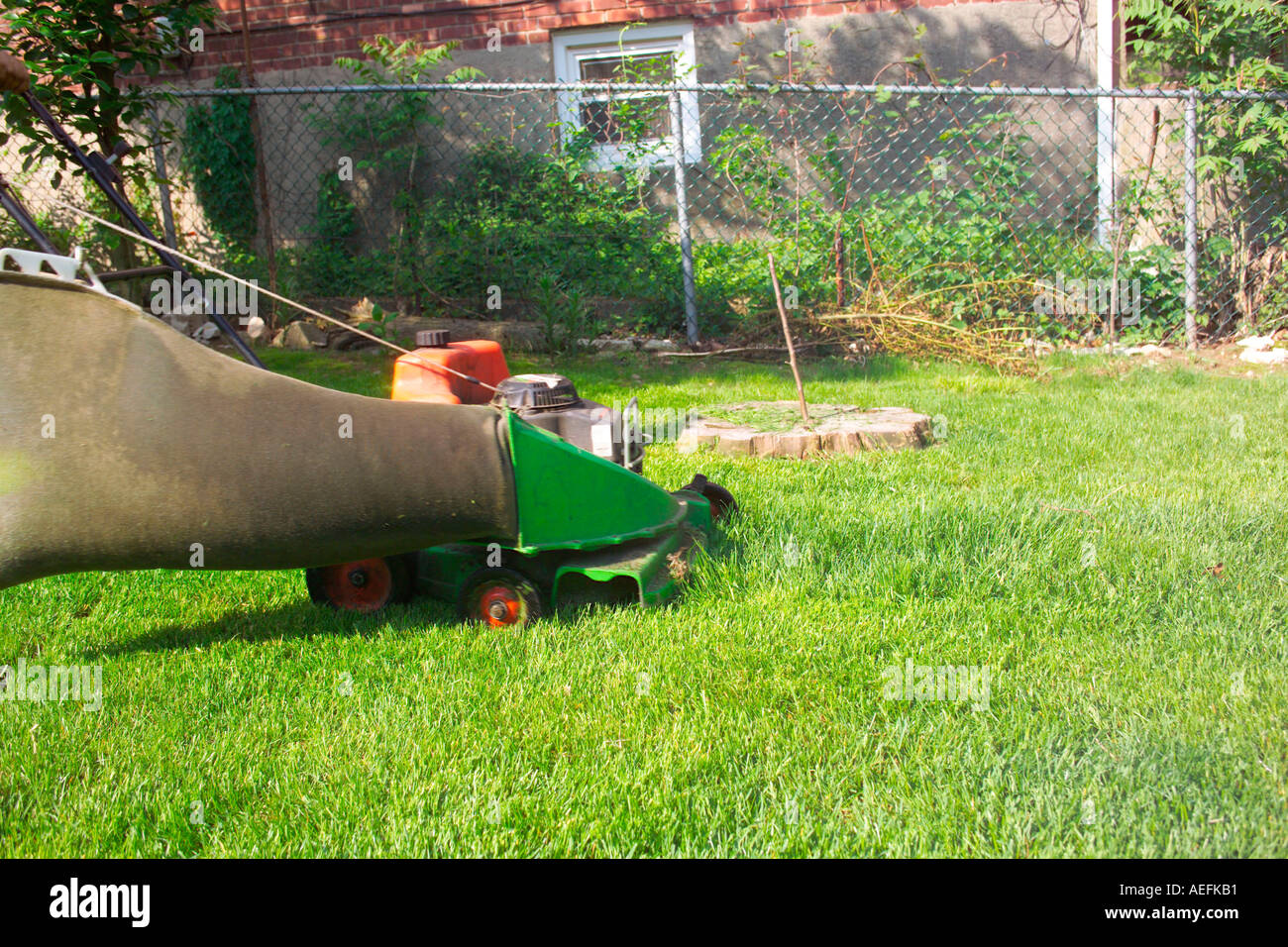 Mowing lawn Stock Photo - Alamy