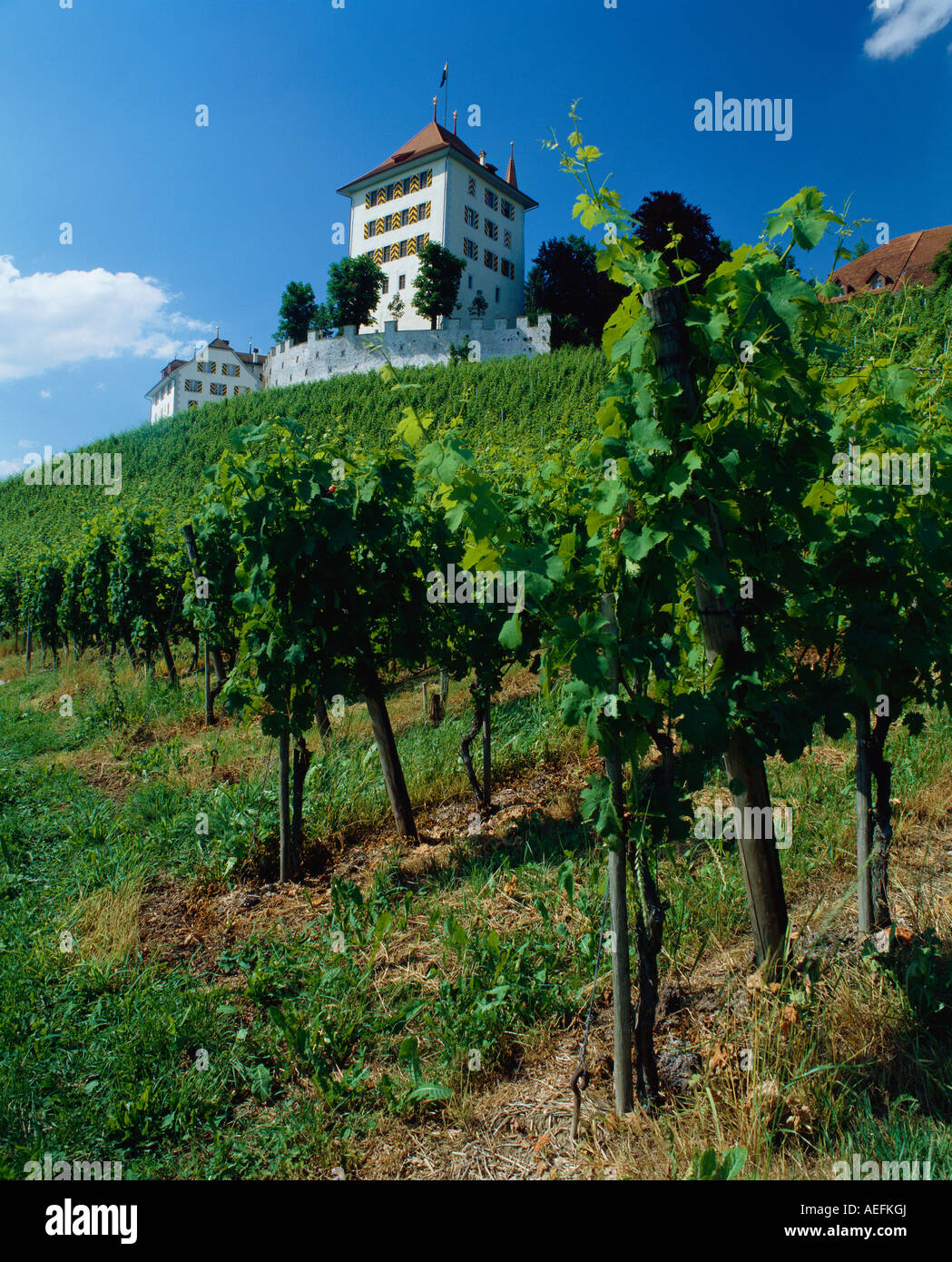 Schloss heidegg hi-res stock photography and images - Alamy