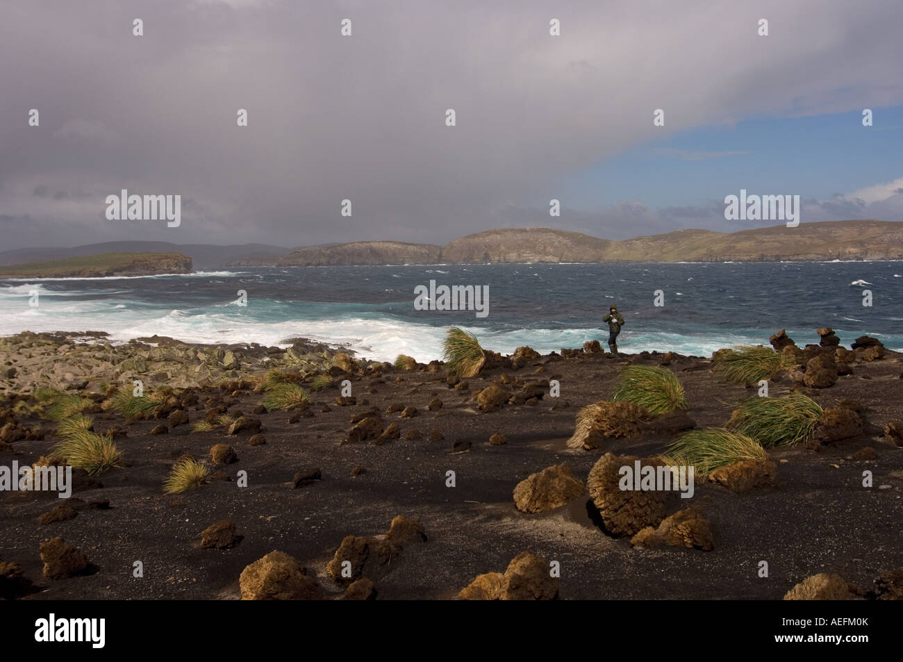landscape on Beaver Island Falkland Islands South Atlantic Ocean Stock ...