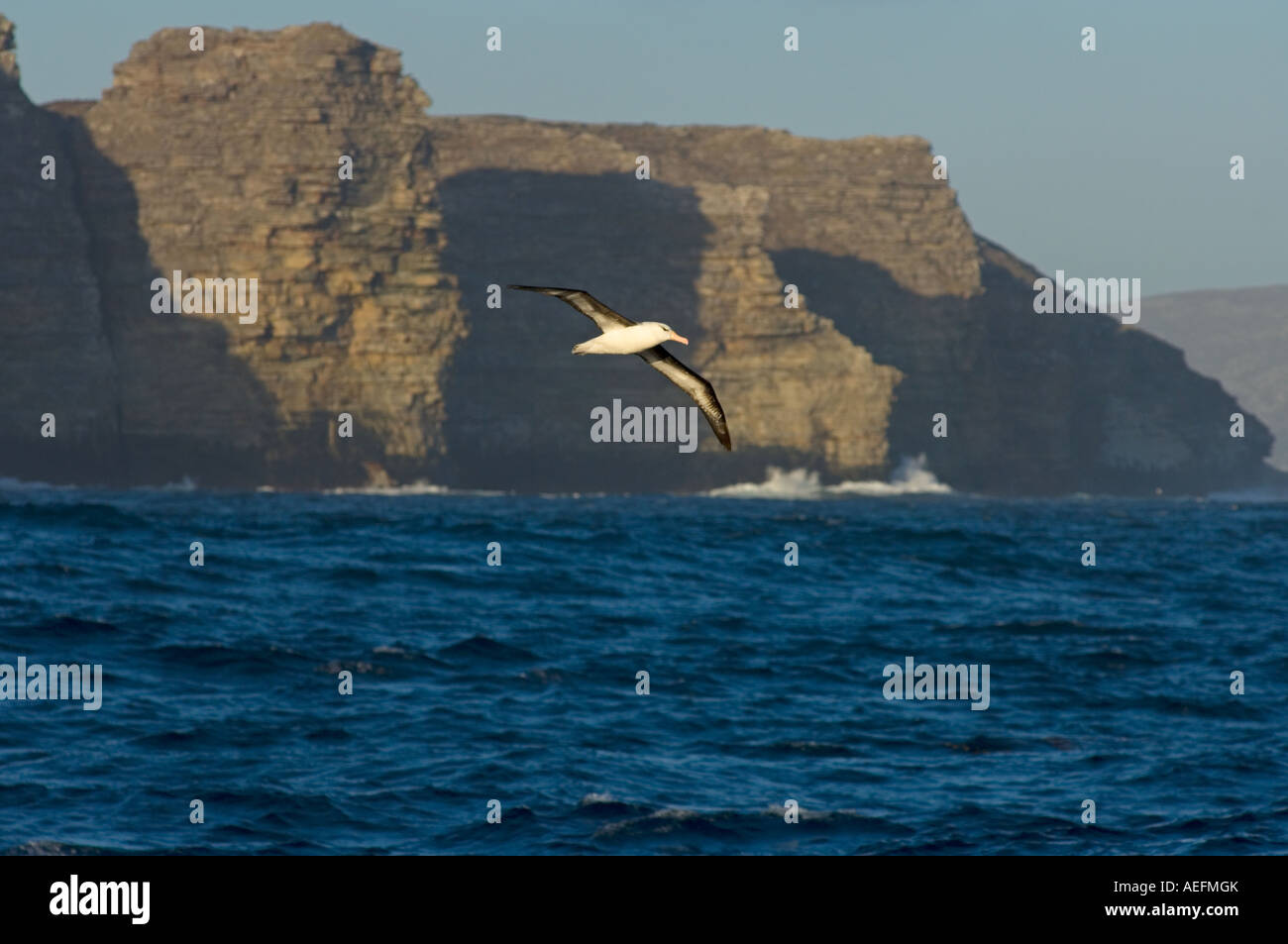 Schooner albatross hi-res stock photography and images - Alamy