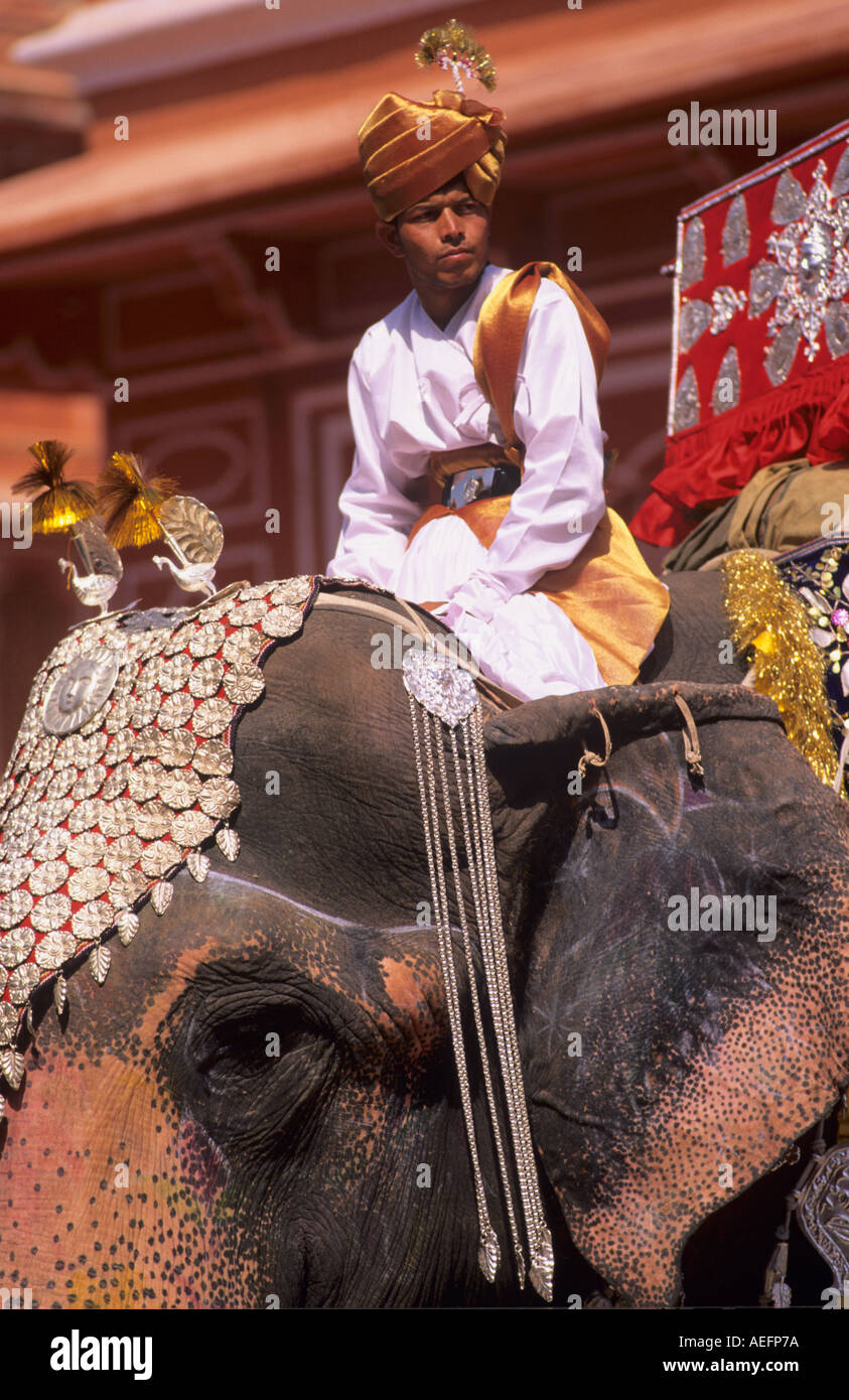 Elephant rider india hi-res stock photography and images - Alamy
