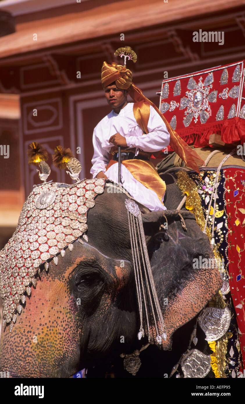 Elephant rider hi-res stock photography and images - Alamy