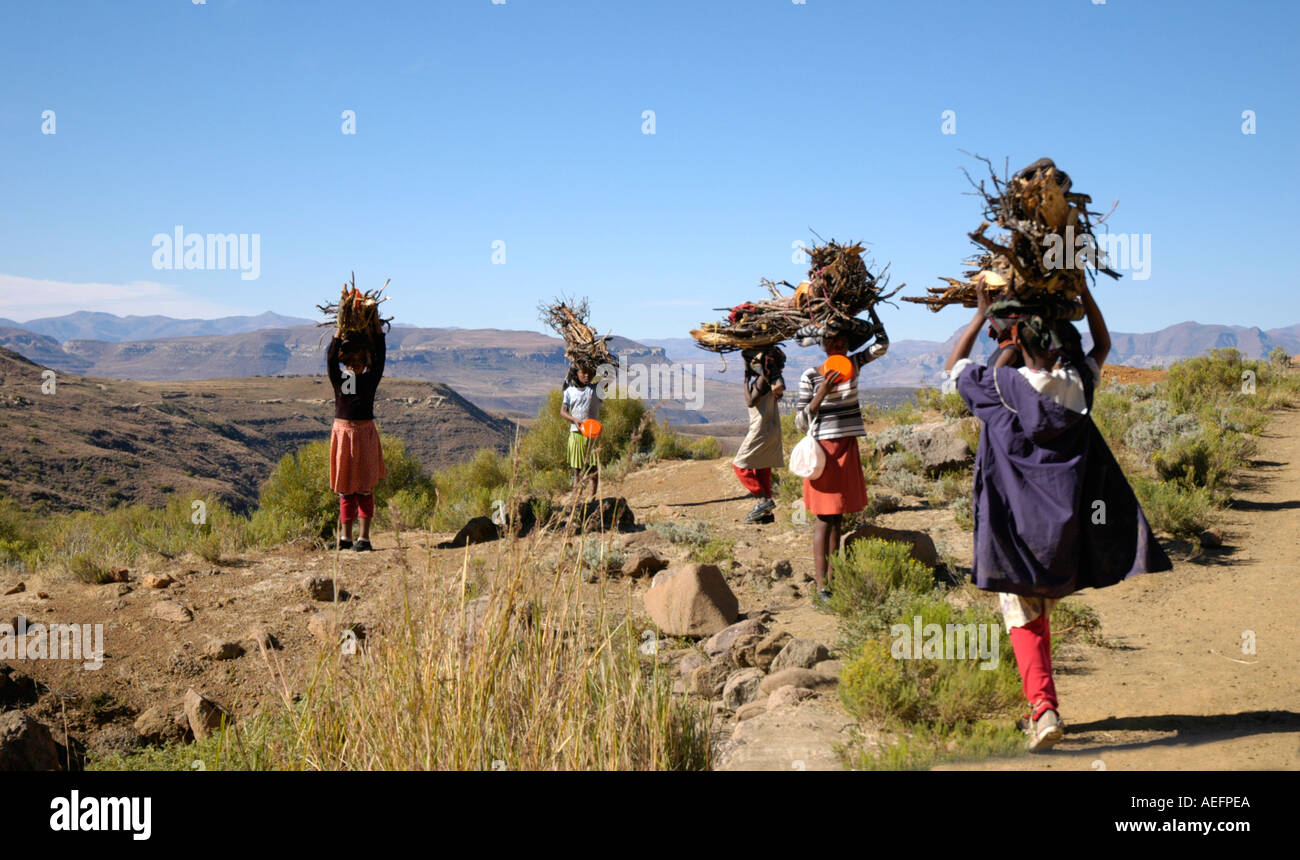 African women collecting firewood hi-res stock photography and images ...