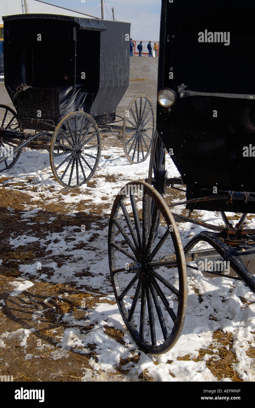 Amish buggies visit a horse auction in Mt Hope Ohio Stock Photo - Alamy