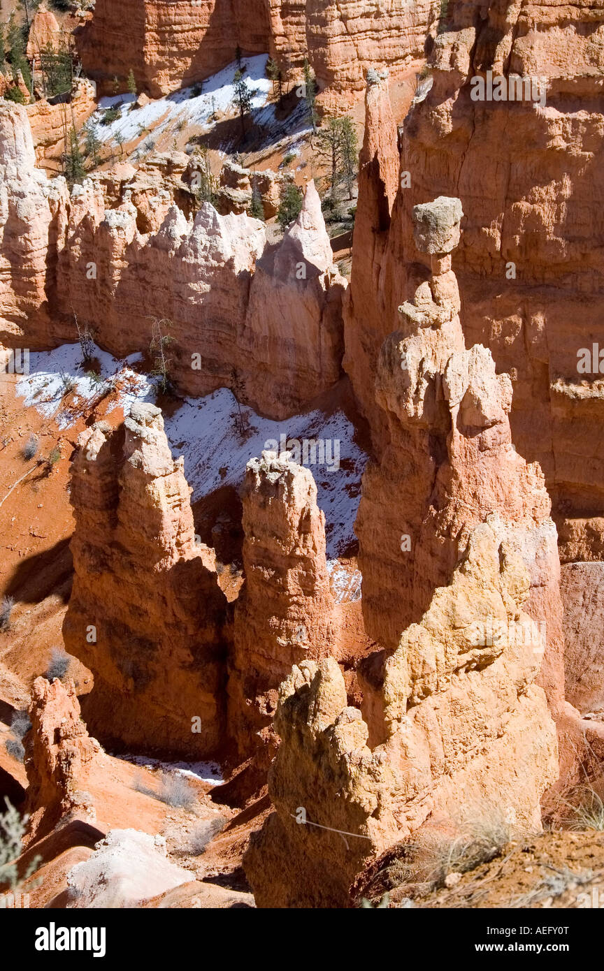 A vertical picture showing some of the unique features of Bryce Canyon ...