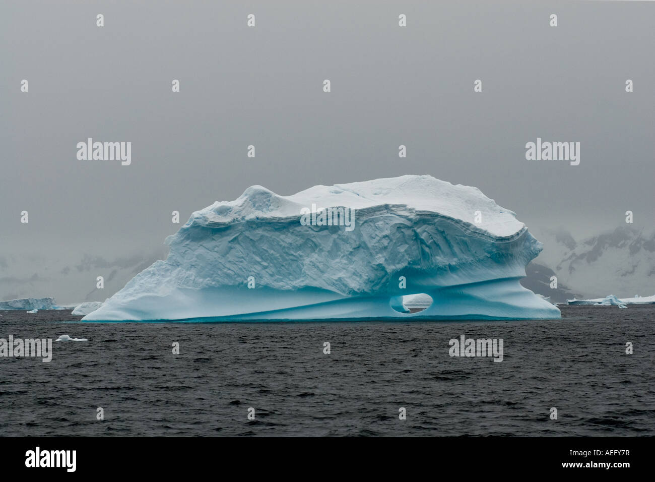 iceberg floating off the western Antarctic peninsula Antarctica ...