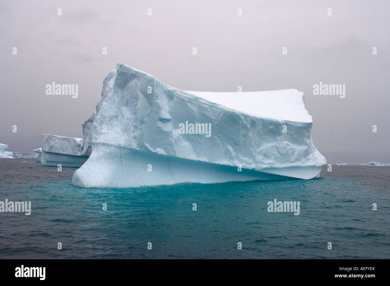 iceberg floating off the western Antarctic peninsula Antarctica ...