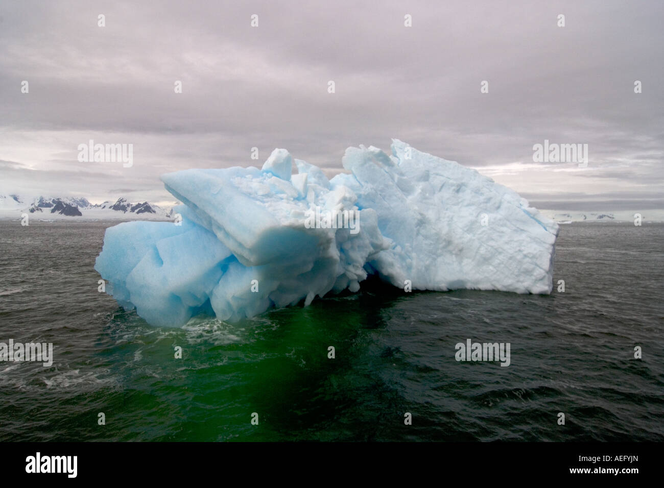 iceberg floating off the western Antarctic peninsula Antarctica ...