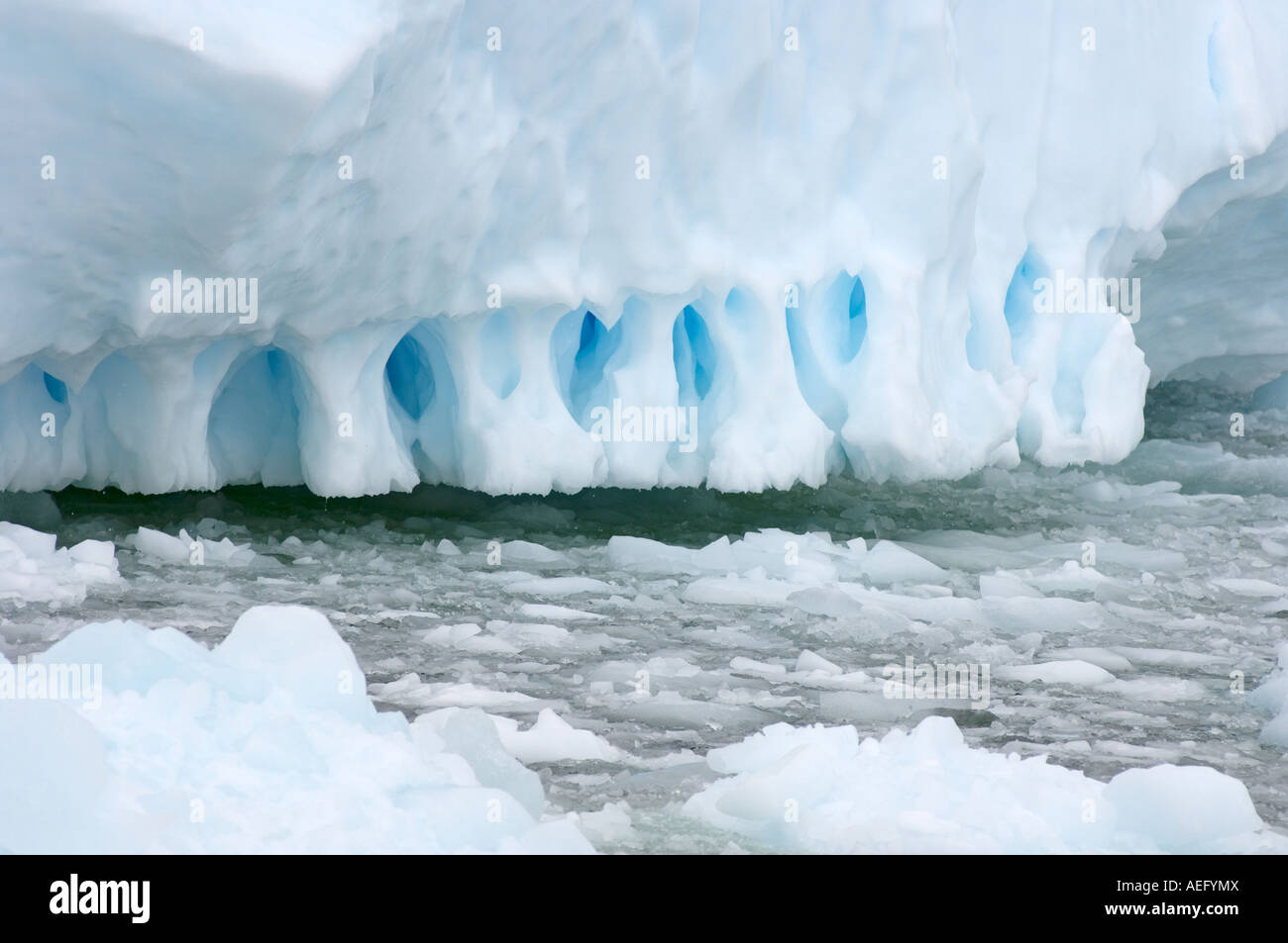 bottom edge of an iceberg along the western Antarctic peninsula ...