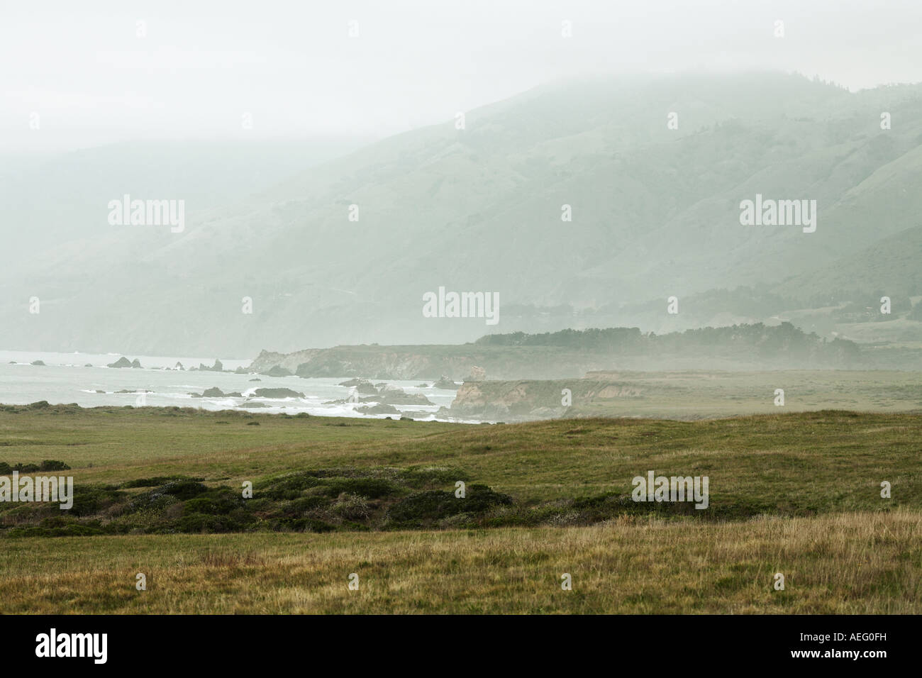 Beautiful Grassy Coastline with Fog Big Sur Coastline California United ...