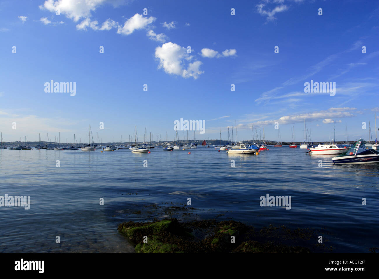 SUMMER EVENING HARBOUR/MARINA VIEW, BRIXHAM Stock Photo - Alamy
