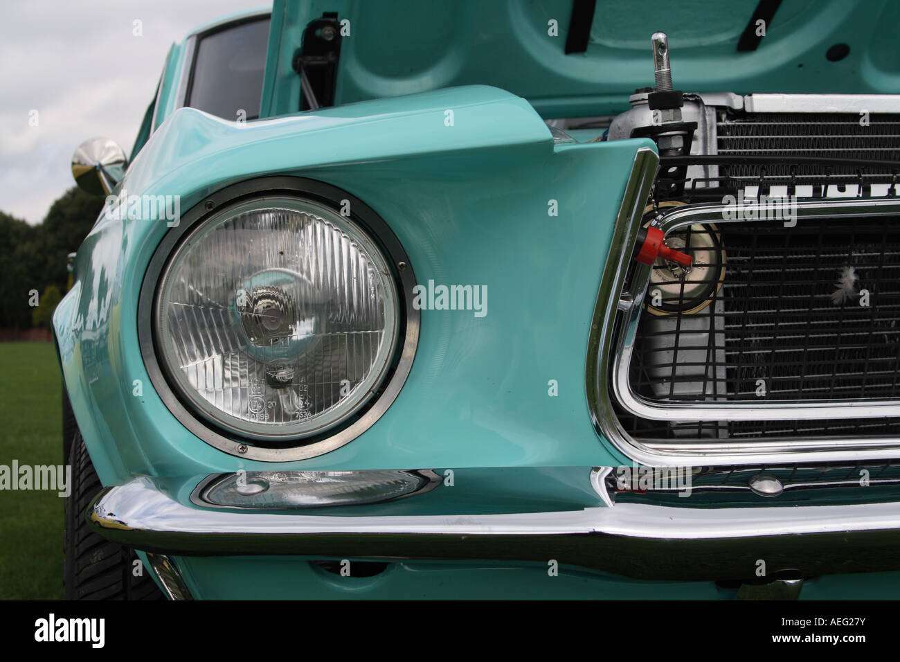 Front View Mustang Stock Photo - Alamy