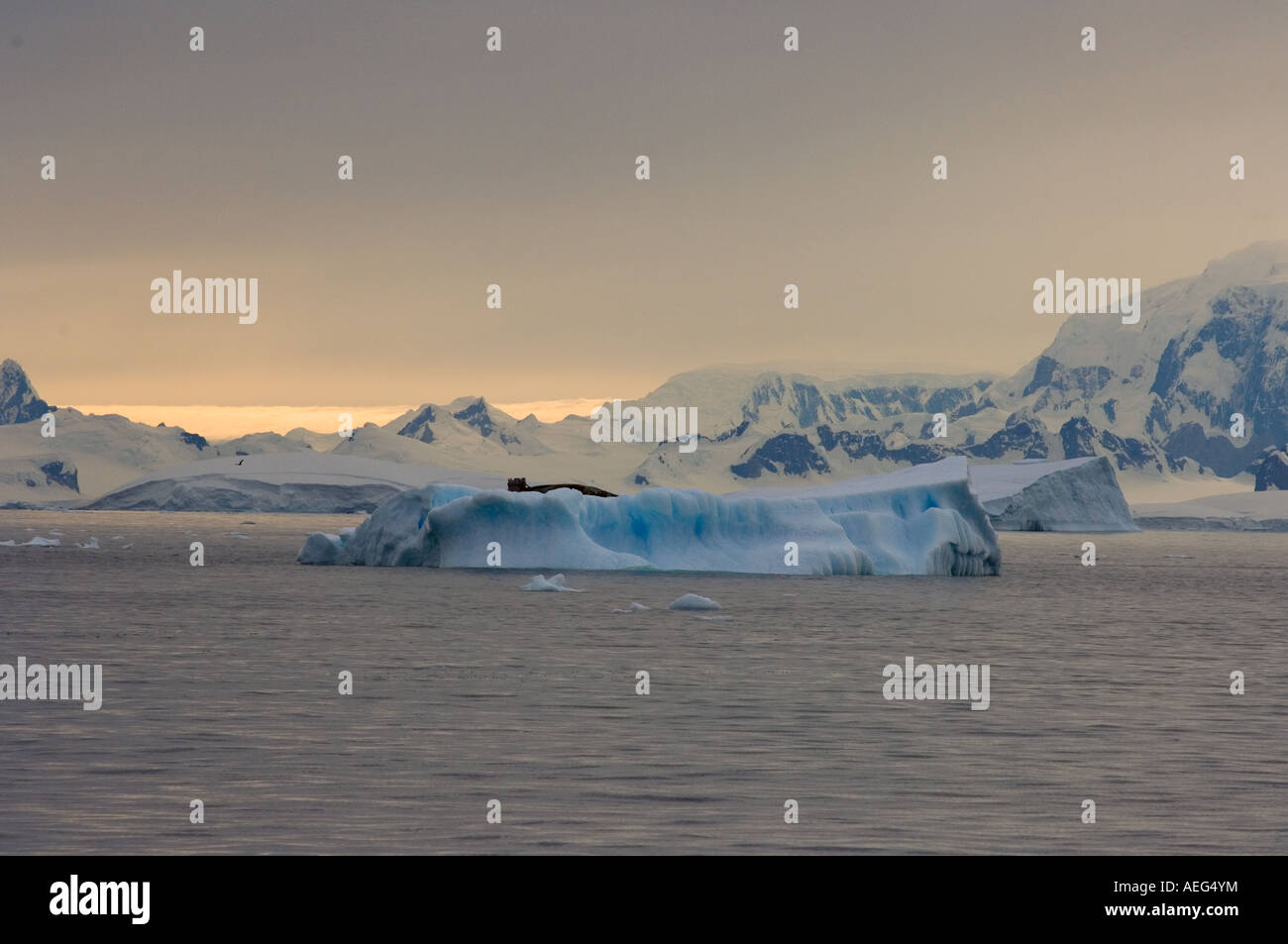 icebergs off the western Antarctic peninsula Antarctica Southern Ocean ...