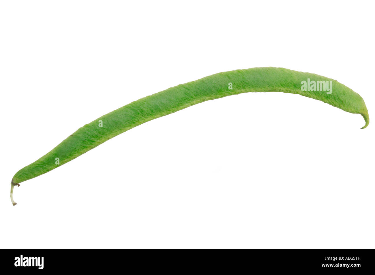 Runner bean white background hi-res stock photography and images - Alamy