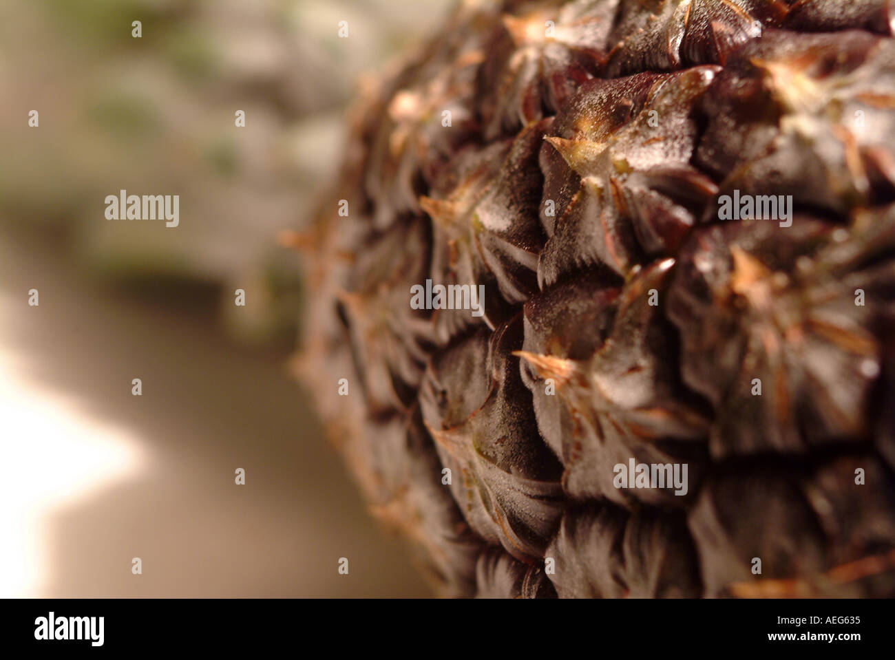 Fruits Vegetables pineapple horizontal landscape rind peel tropical ...