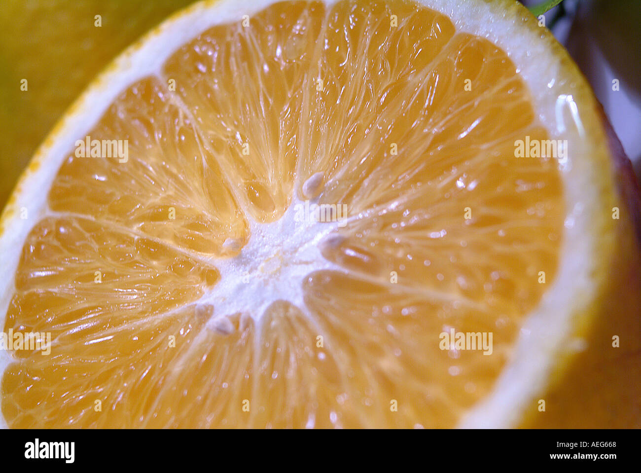 Fruits Vegetables orange peel oranges round rind citric cut open half ...