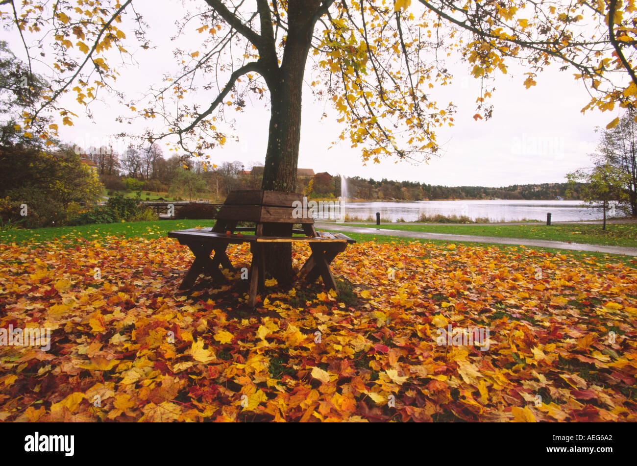 falling leaf leaves season garden background Stock Photo - Alamy