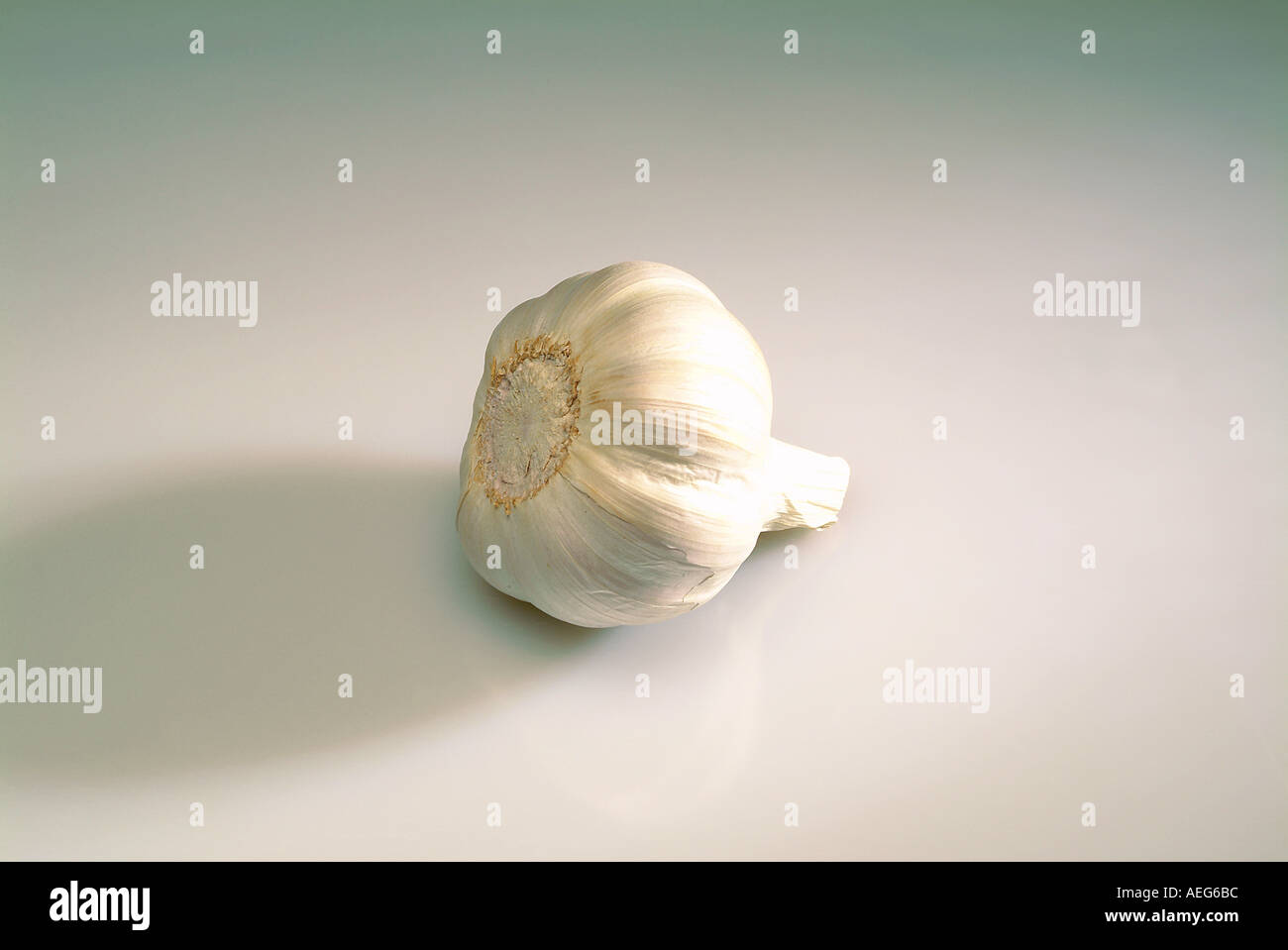 Fruits Vegetables herb garlic pungent smelling bulb bulbous spice ...