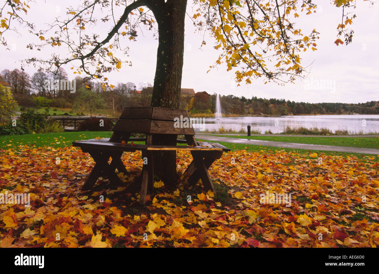 falling leaf leaves season garden background Stock Photo - Alamy
