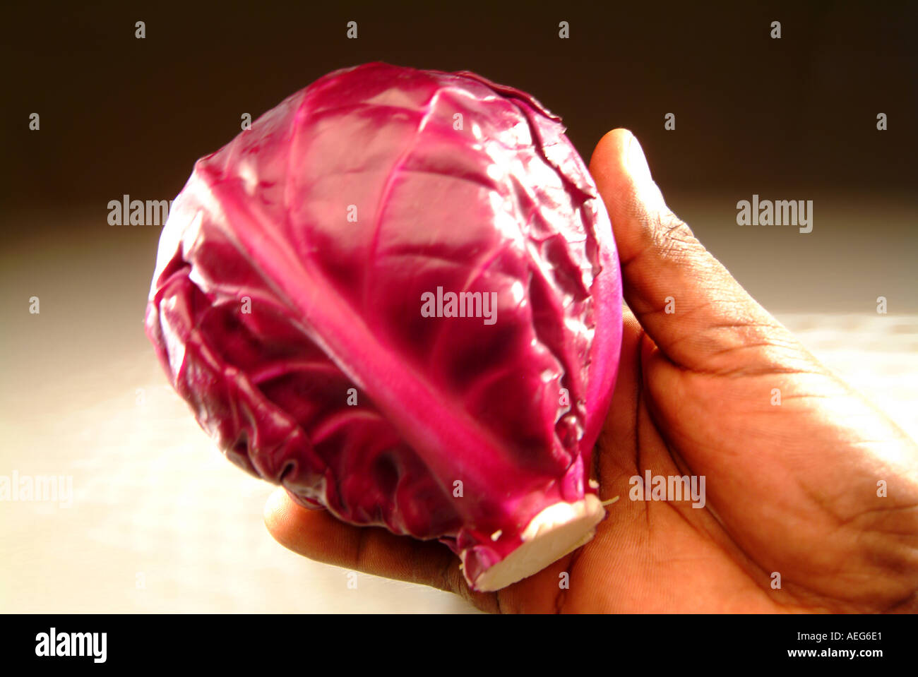 Fruits Vegetables hand holding vegetable red cabbage purplish leaves ...