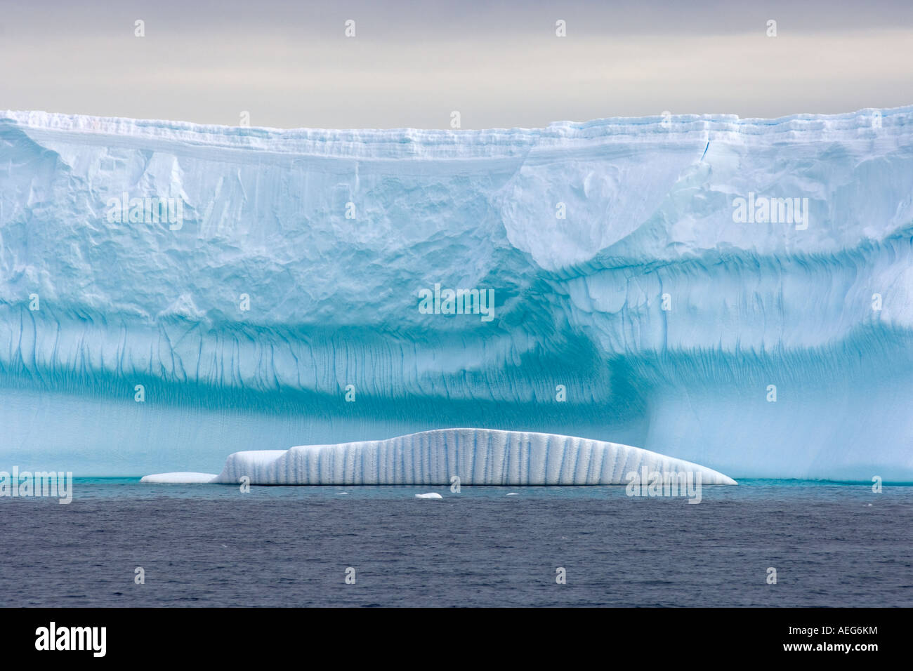 iceberg in front of a glacier western Antarctic peninsula Antarctica ...