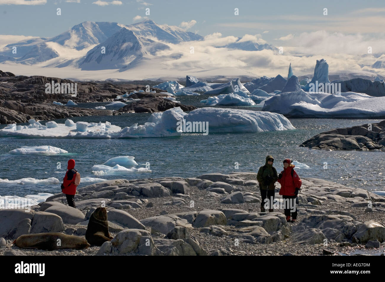 Charcot iceberg hi-res stock photography and images - Alamy