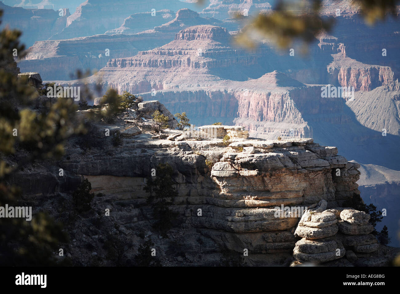 Overhang with Tree Branch South Rim Grand Canyon National Park Arizona ...