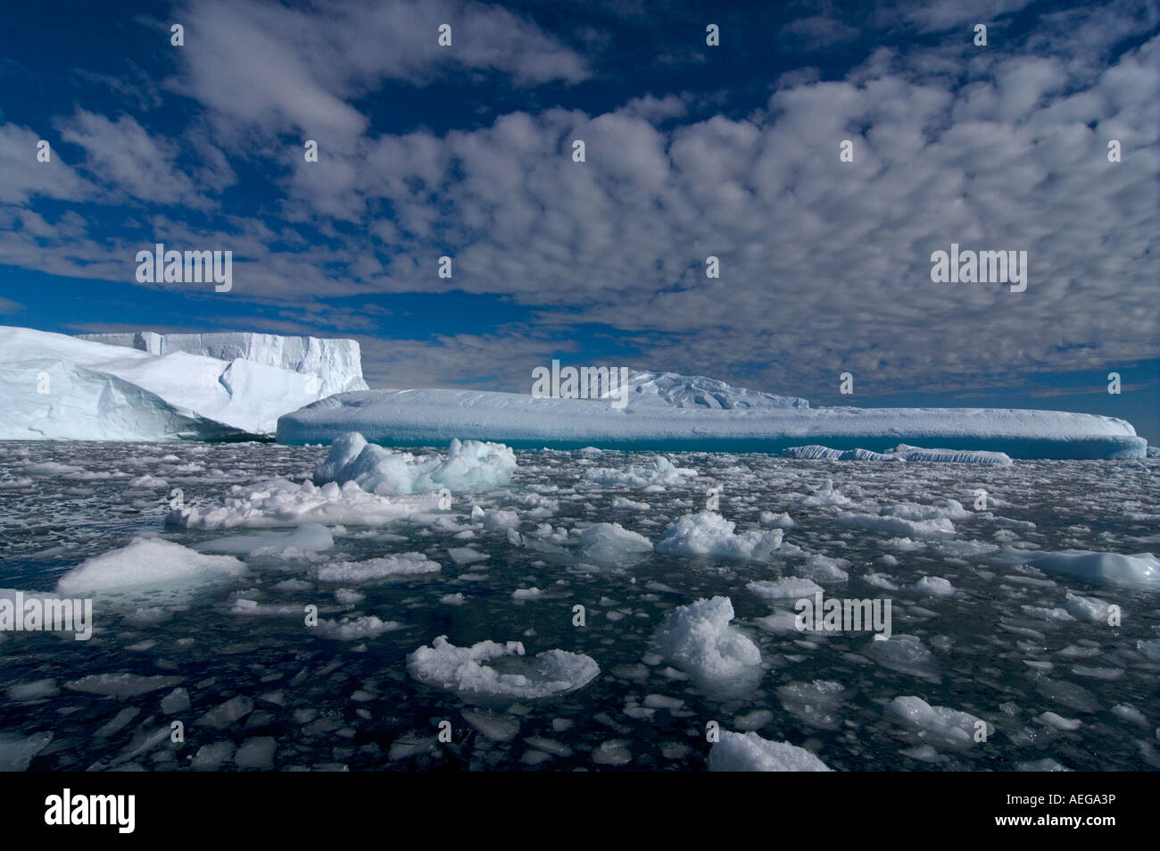 icebergs along the western Antarctic peninsula Antarctica Southern ...