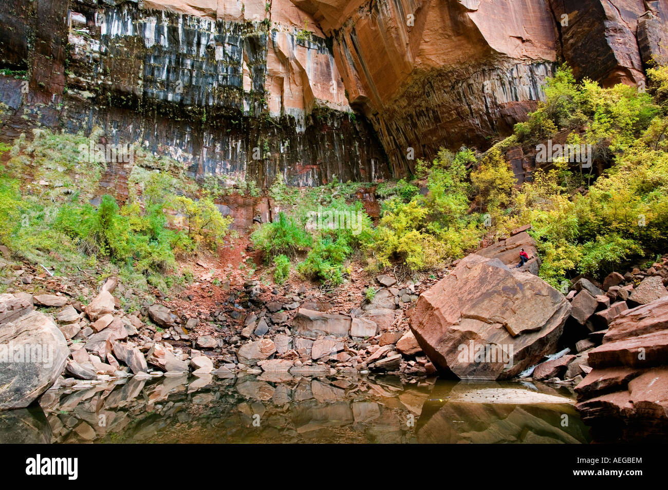 Fall colors in Zion National Park Stock Photo - Alamy