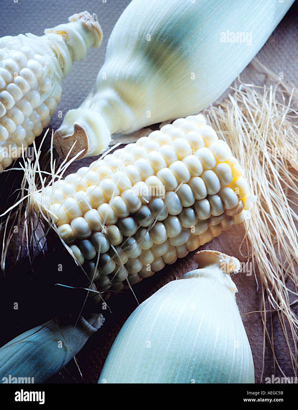 Food corn corncob cob cobs grain ear ears detail indoors daylight ...