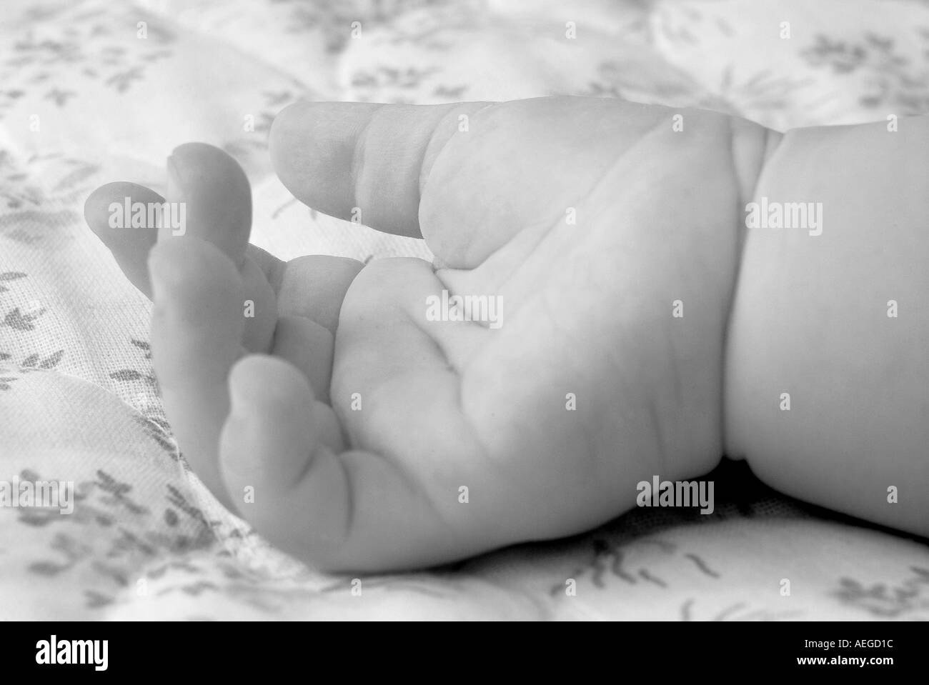 Baby hand detail closeup close up close up cute rosy cheeks staring ...