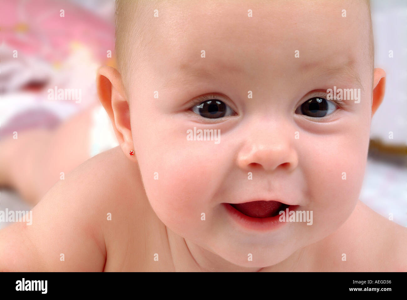 Baby chubby cute staring cheeky rosy smile person people kid child baby ...