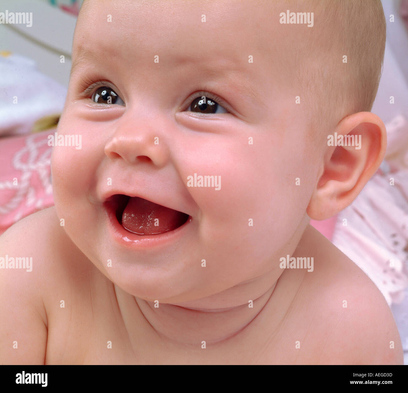 Wd12038 hi-res stock photography and images - Alamy